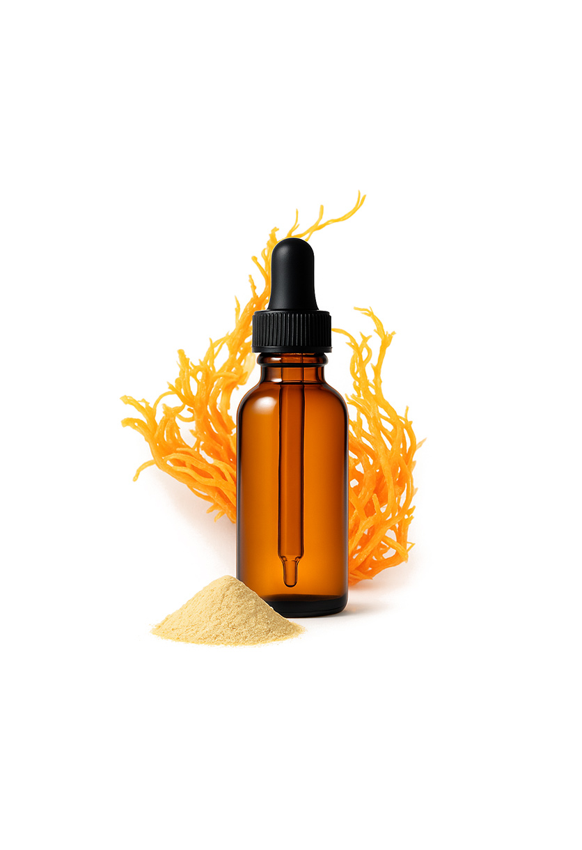 CHONDRUS CRISPUS · Carrageenan-containing red alga for cosmetics · maBitec